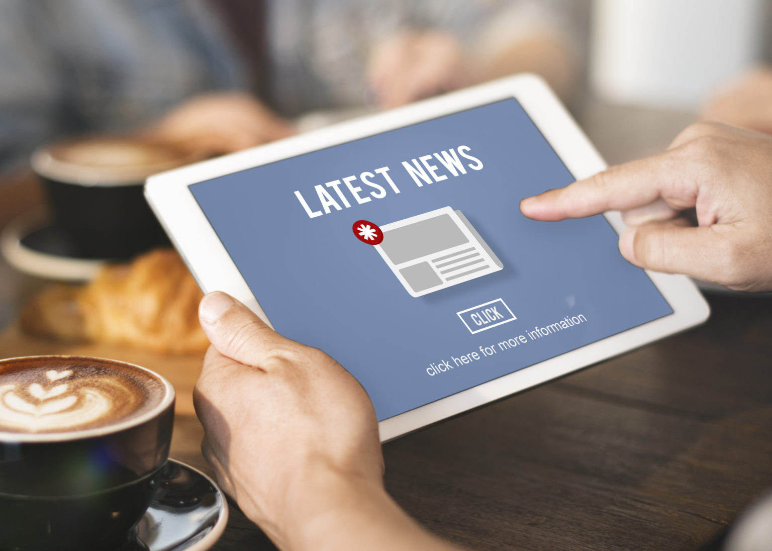 PPI Ignite Network December Newsletter 2025 • PPI Ignite Network