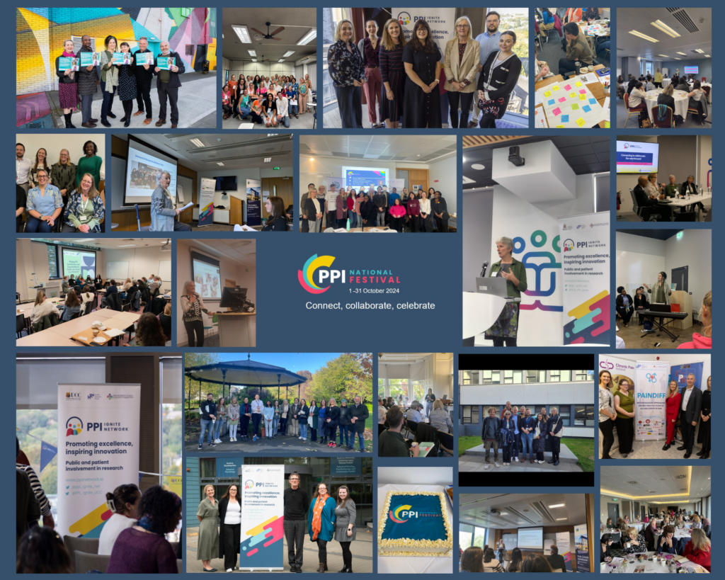 National PPI Festival 2024 Snapshot • PPI Ignite Network